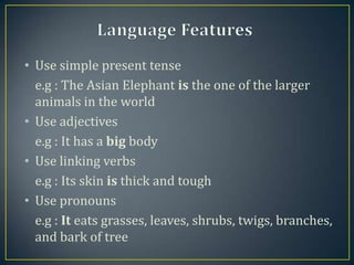 Speaking Skill - Descriptive Text (Describing Animal) | PPTX