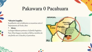 ETNIAPACAHUARA.pptx
