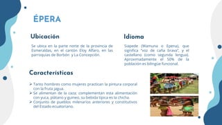 Etnias del Ecuador | PPTX