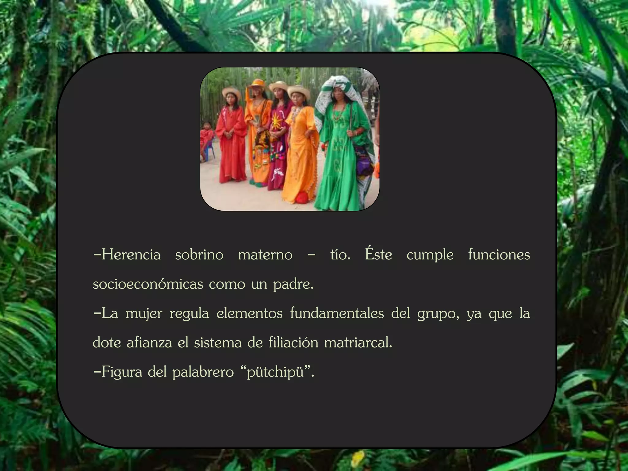 Etnia Wayuu | PPSX