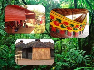 Etnia Wayuu | PPSX