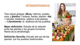 etnobotanica.pptx