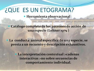 Etograma | PPTX