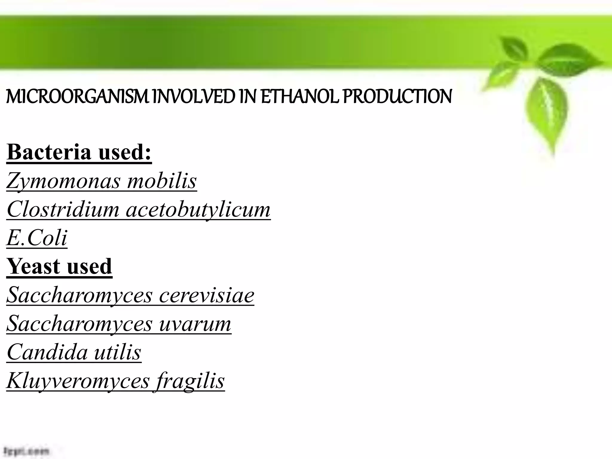 Ethanol Production, Biofuel Production | PPTX