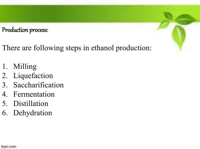 Ethanol Production, Biofuel Production | PPTX | Chemistry | Science