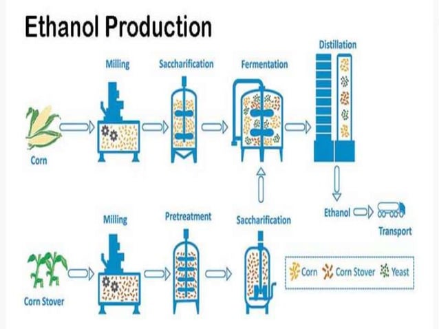 Ethanol Production, Biofuel Production | PPTX | Chemistry | Science