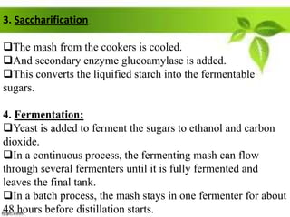 Ethanol Production, Biofuel Production | PPTX