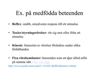 Etologi ppt-v004--l--biologi1 | PPTX