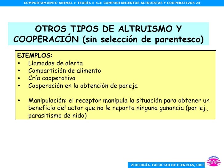 Que Es Altruismo Y Ejemplos - Servicio De Citas En Nicaragua