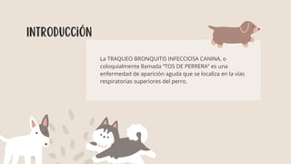 Etologíatraqueobronquitis infecciosa canina (1).pdf