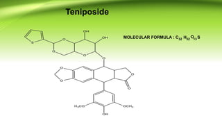 ETOPOSIDE & TENIPOSIDE | PDF