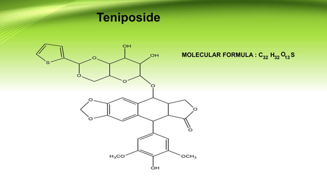 ETOPOSIDE & TENIPOSIDE | PDF