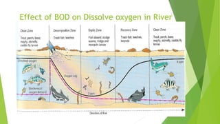 Effluent Treatment Plant (ETP) | PPTX