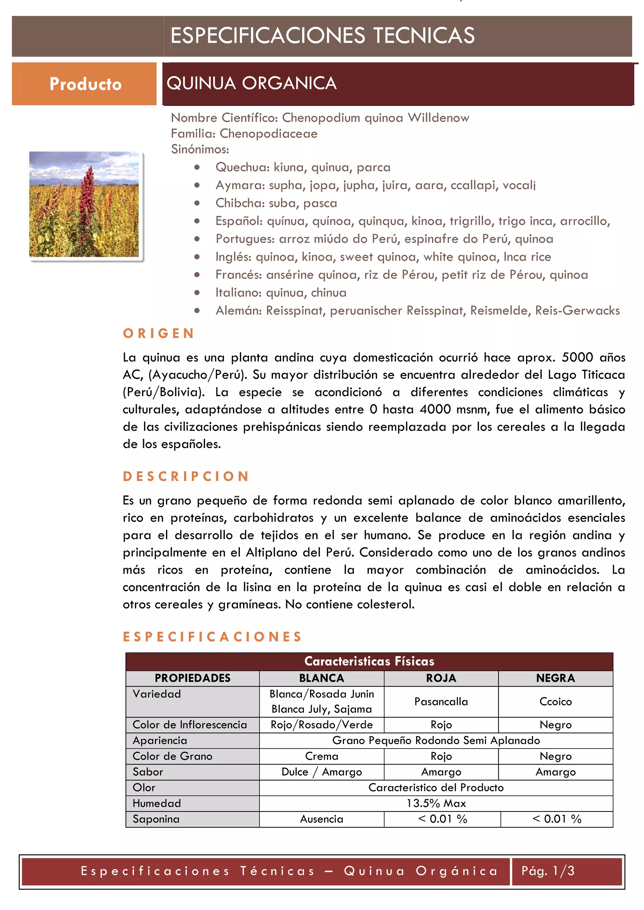 Et quinua | PDF