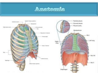 Trauma toracico según ATLS | PPTX