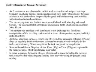 Etroplus- culture | PPTX