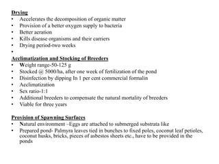 Etroplus- culture | PPTX