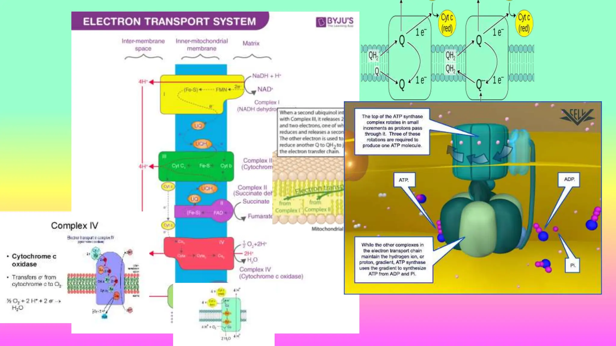 ETS.pptx Govt Nehru PG collage by SOMESH KUMAR | PPTX