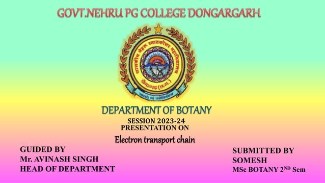 ETS.pptx Govt Nehru PG collage by SOMESH KUMAR | PPT