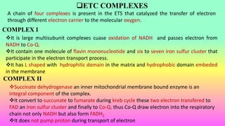 ETS.pptx Govt Nehru PG collage by SOMESH KUMAR | PPT