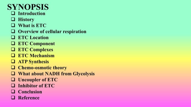 ETS.pptx Govt Nehru PG collage by SOMESH KUMAR | PPT