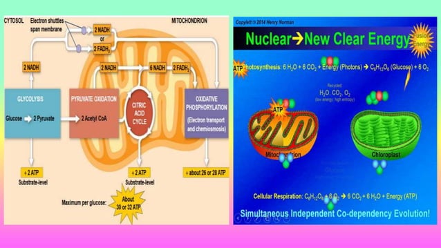 ETS.pptx Govt Nehru PG collage by SOMESH KUMAR | PPT