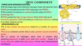 ETS.pptx Govt Nehru PG collage by SOMESH KUMAR | PPT