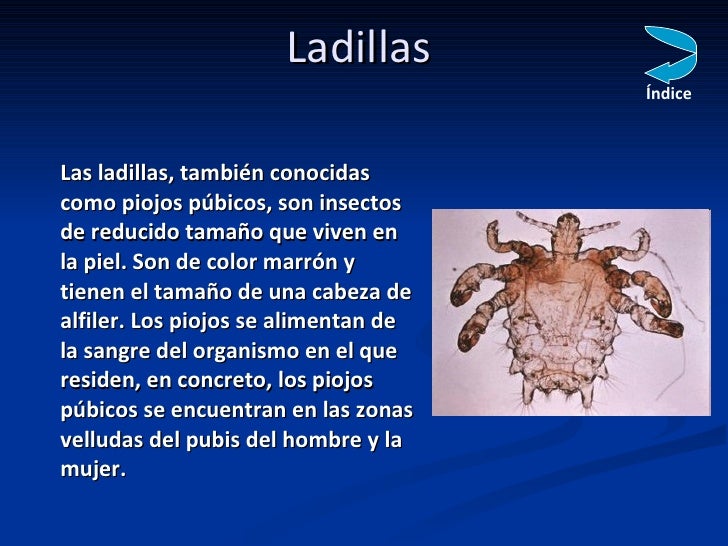 Enfermedades de transmisión sexual