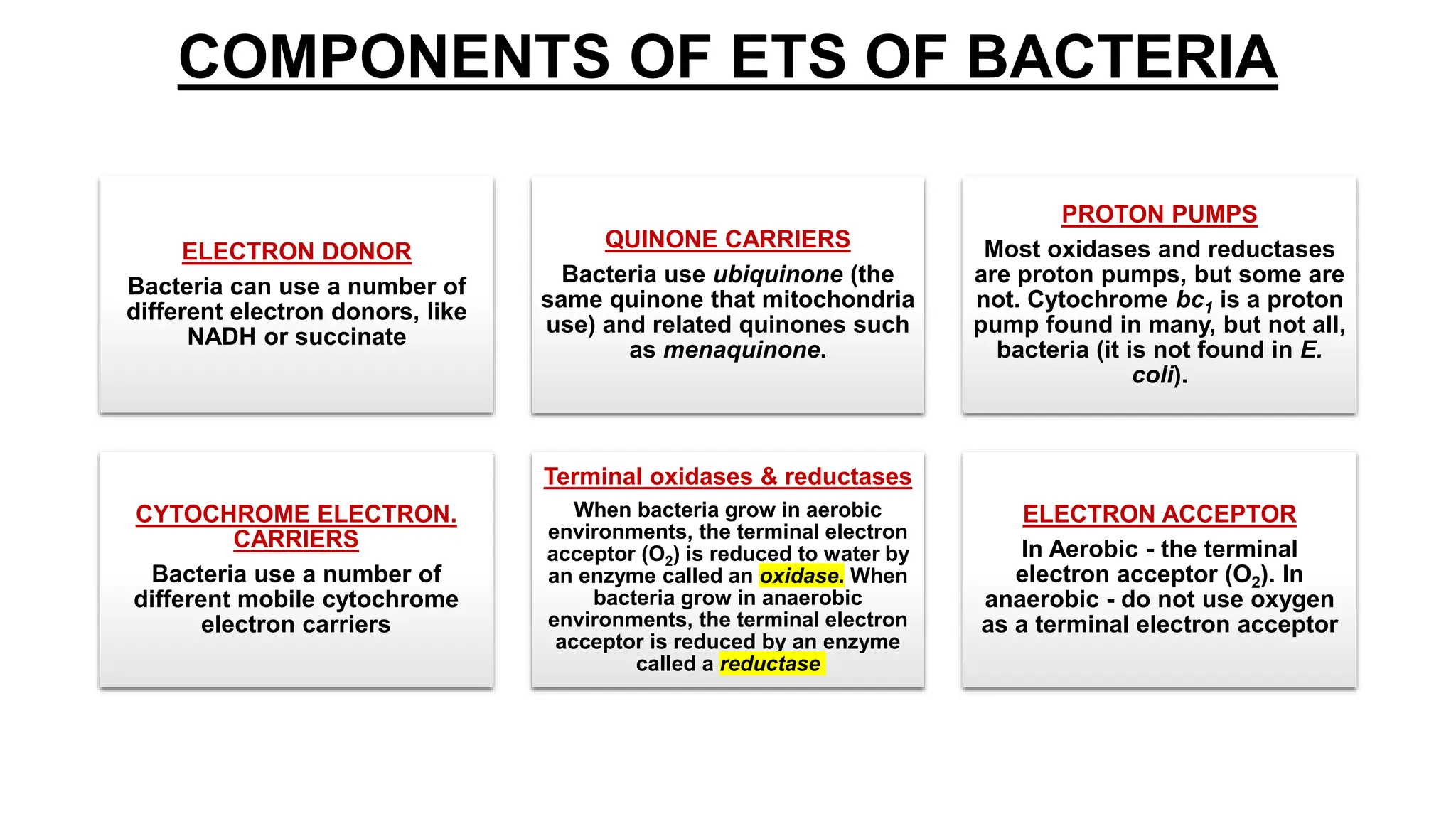 ELECTRON TRANSPORT CHAIN OF BACTERIA.pptx