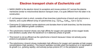 ELECTRON TRANSPORT CHAIN OF BACTERIA.pptx