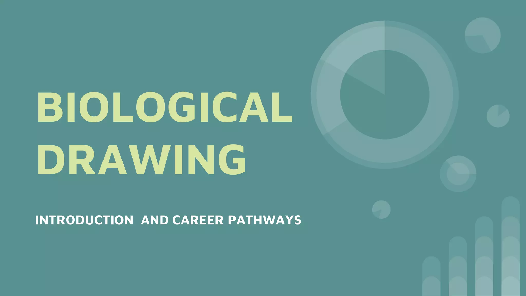 Bio drawing intro & careers | PPT