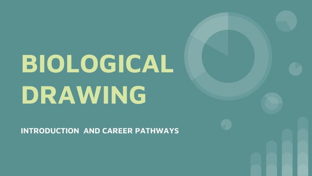 Bio drawing intro & careers | PPT