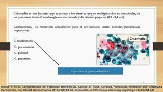 Enfermedades de Transmisión Sexual e infecciones vaginales. Ginecología ...