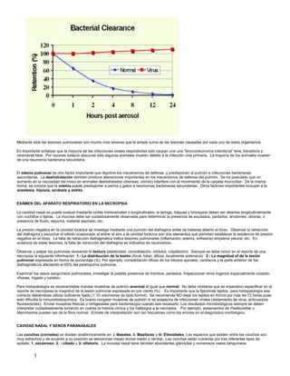 Ett patologia sistema respiratorio | DOCX