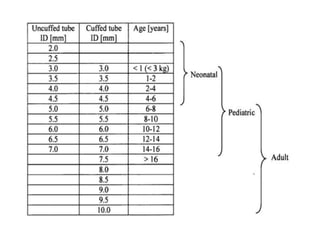 Lma Size Chart