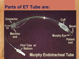 Endotracheal Tube Suctioning