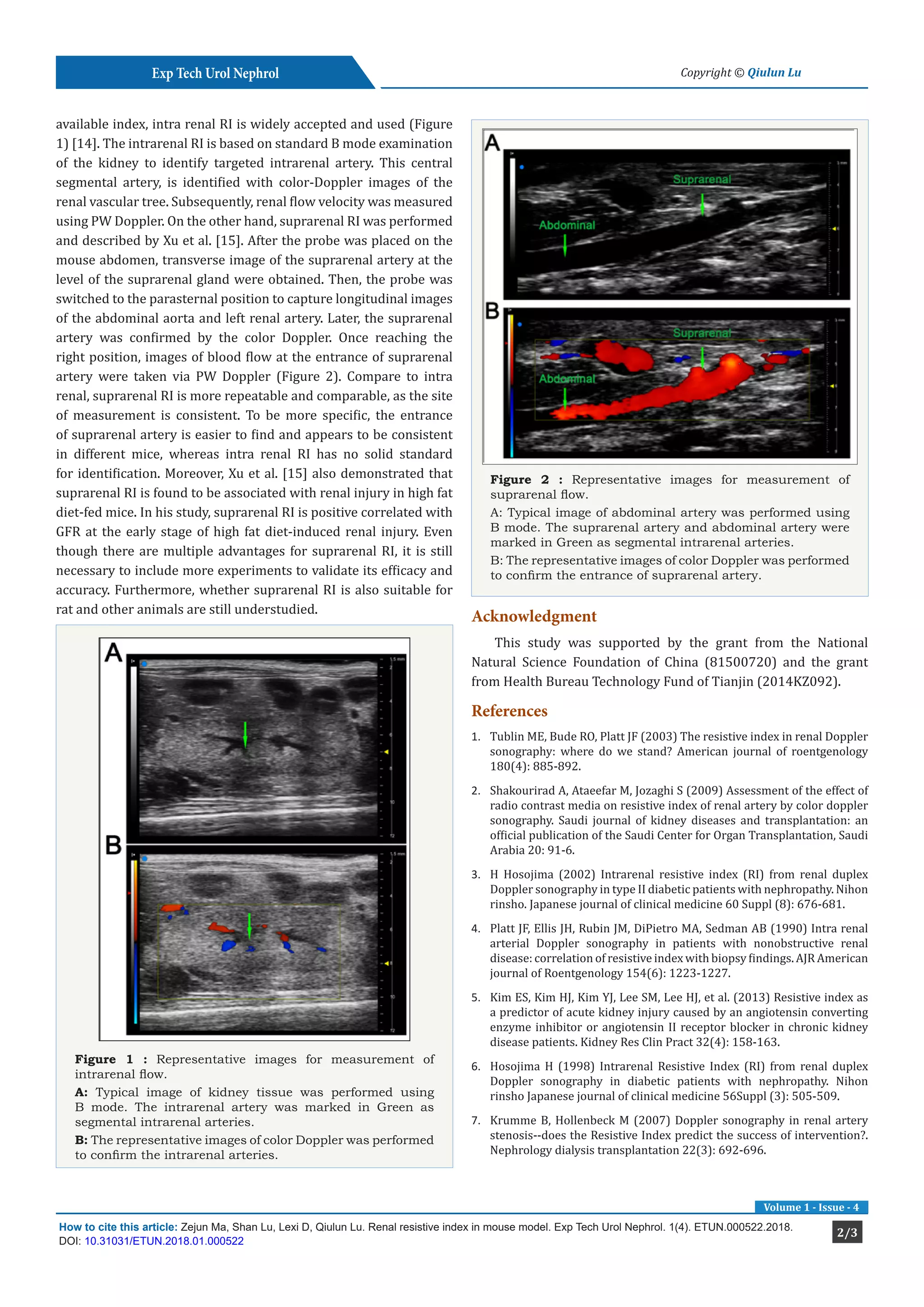 Renal resistive index in mouse model: Asian Journal of Urology: Crimson ...