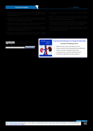 Renal resistive index in mouse model: Asian Journal of Urology: Crimson ...