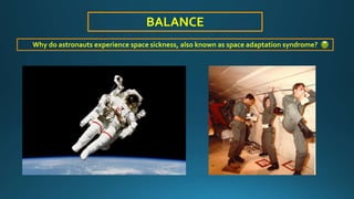 eTwinning biology balance 3WETab | PPT