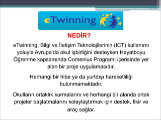 Etwinning ve twinspace | PDF