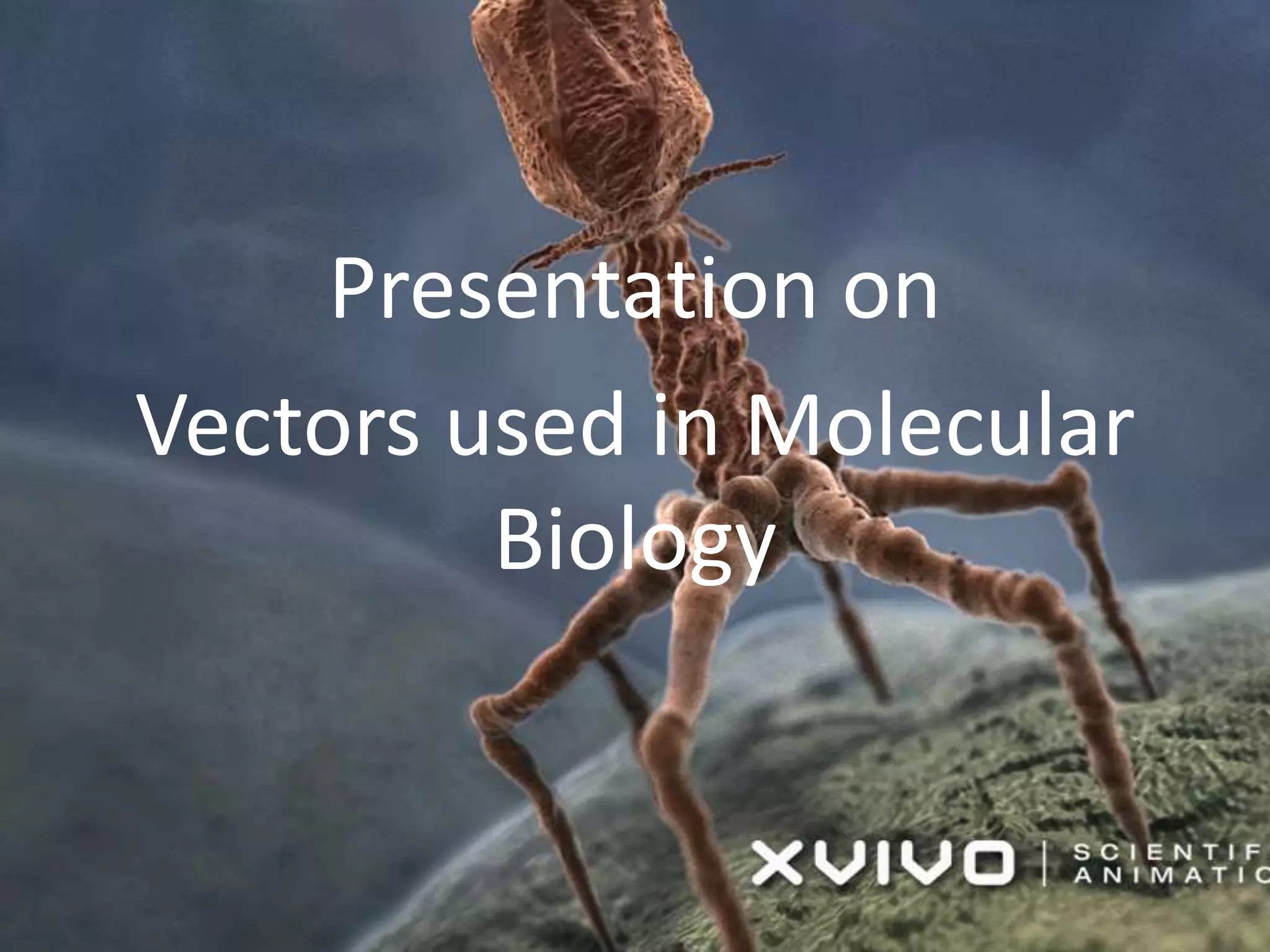 Vector in molecular biology | PPTX