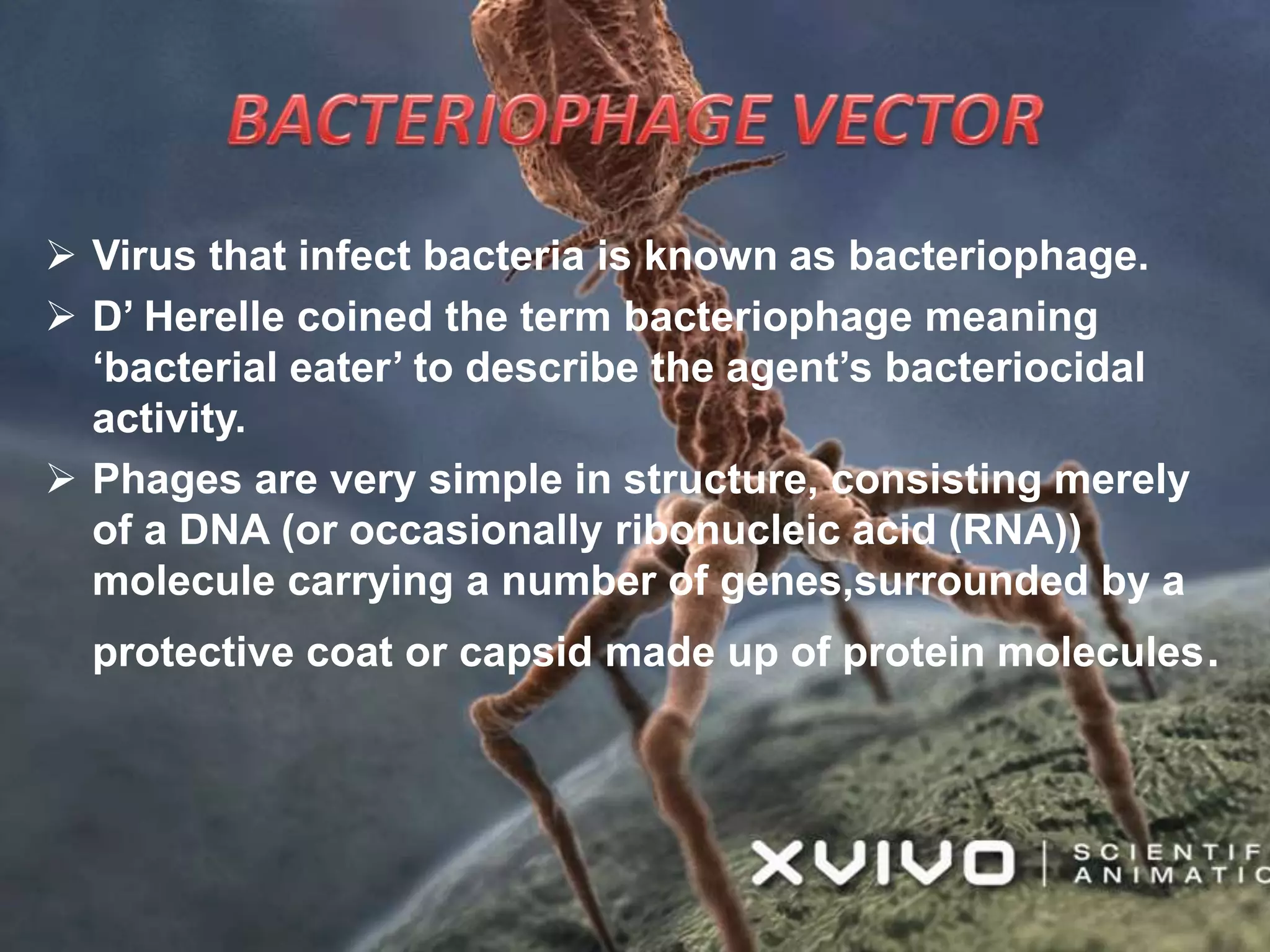 Vector in molecular biology | PPTX