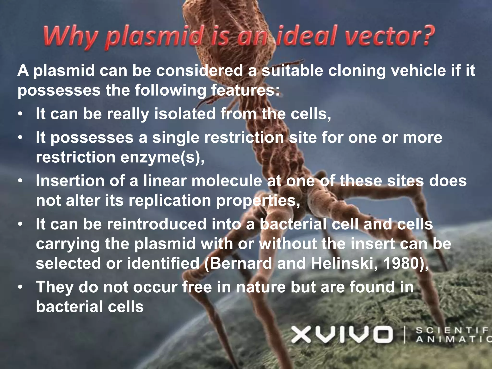 Vector in molecular biology | PPTX