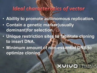 Vector in molecular biology | PPTX