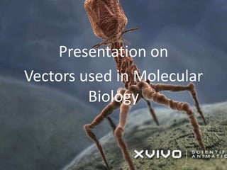 Vector in molecular biology | PPT