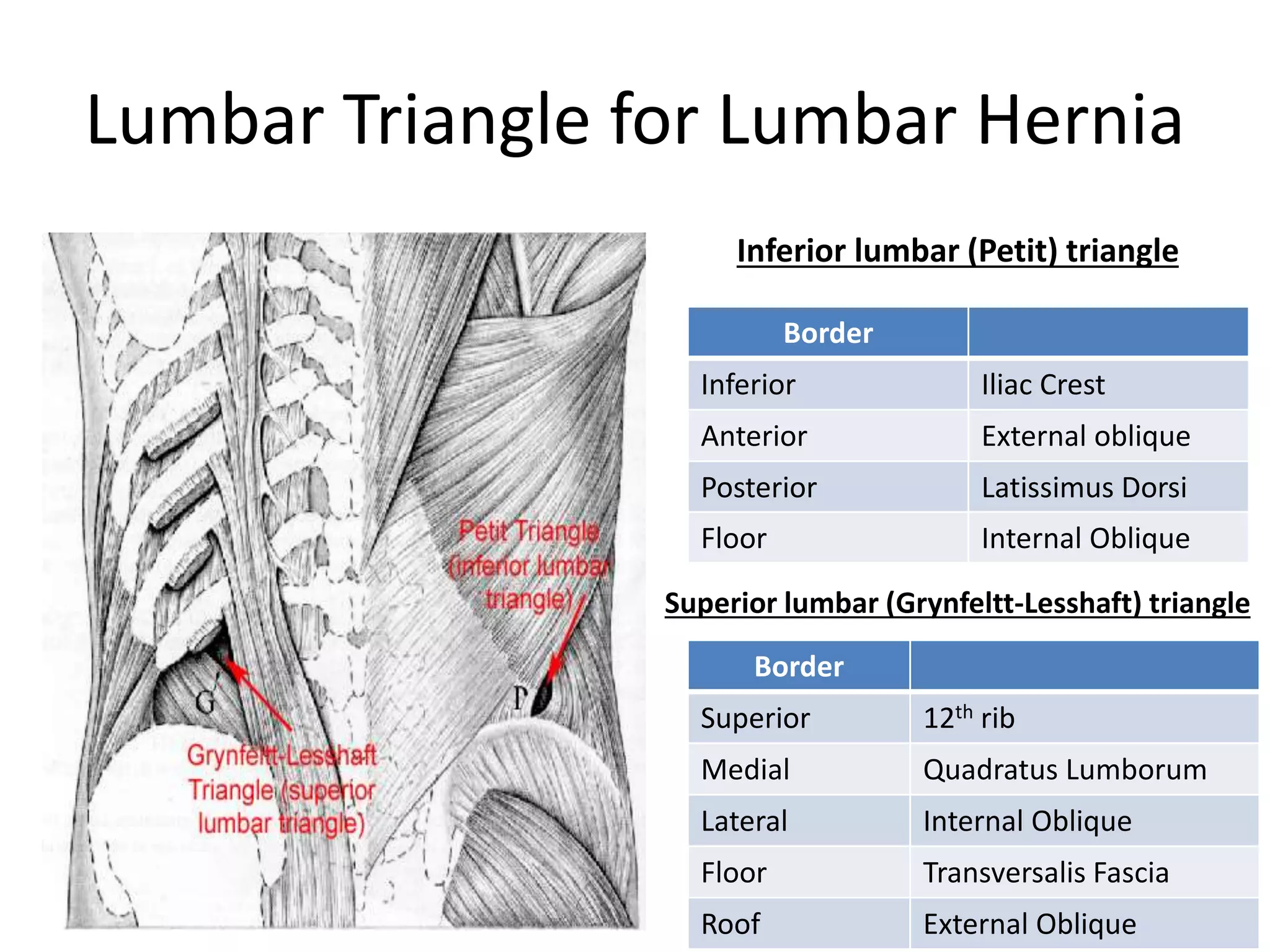 Etymology of hernia | PPTX