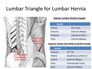 Lumbar Triangle Hernia