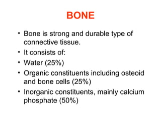04 bone | PPT