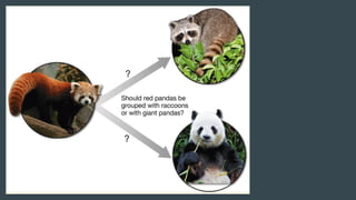 Characteristics of Life Powerpoint Slide Show | PPTX