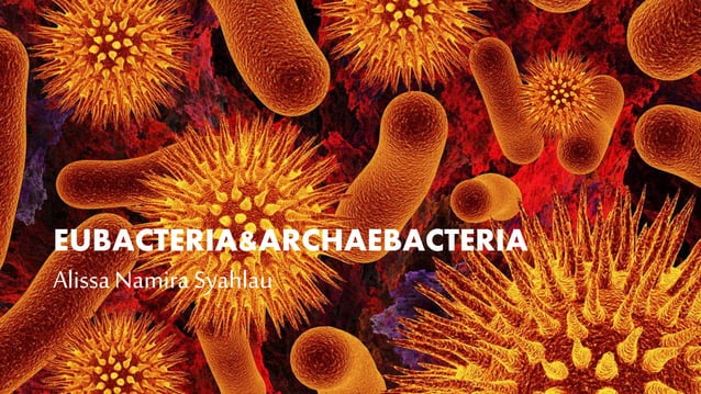 Eubachteria dan Archaebacteria kelas X | PPT